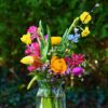 Homepage - Bloem&So